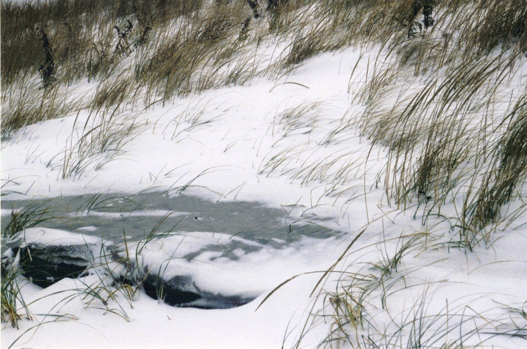 Winter Snow on the Beach – jahART