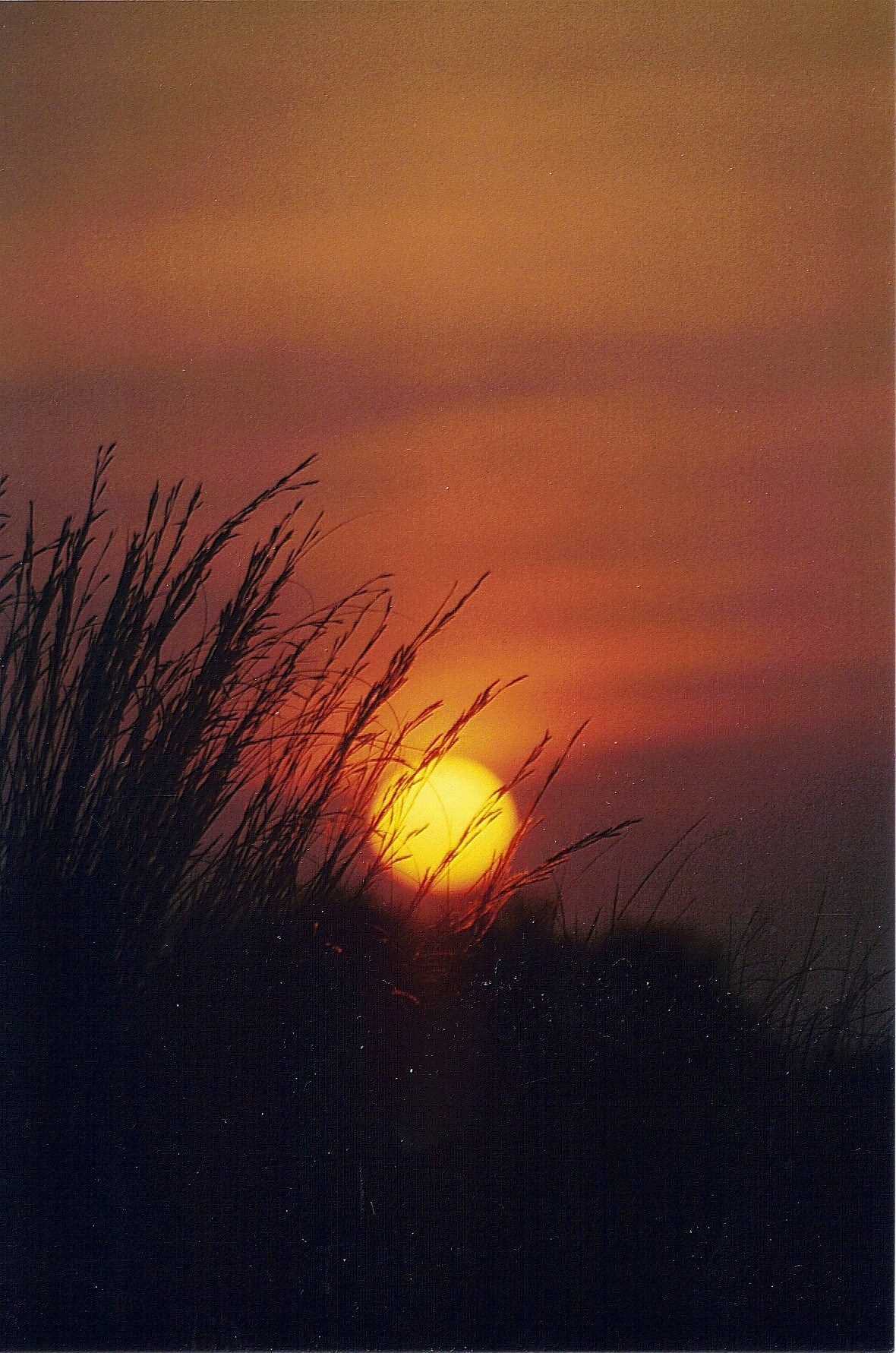 Fall Sunset Through the Dunes – jahART