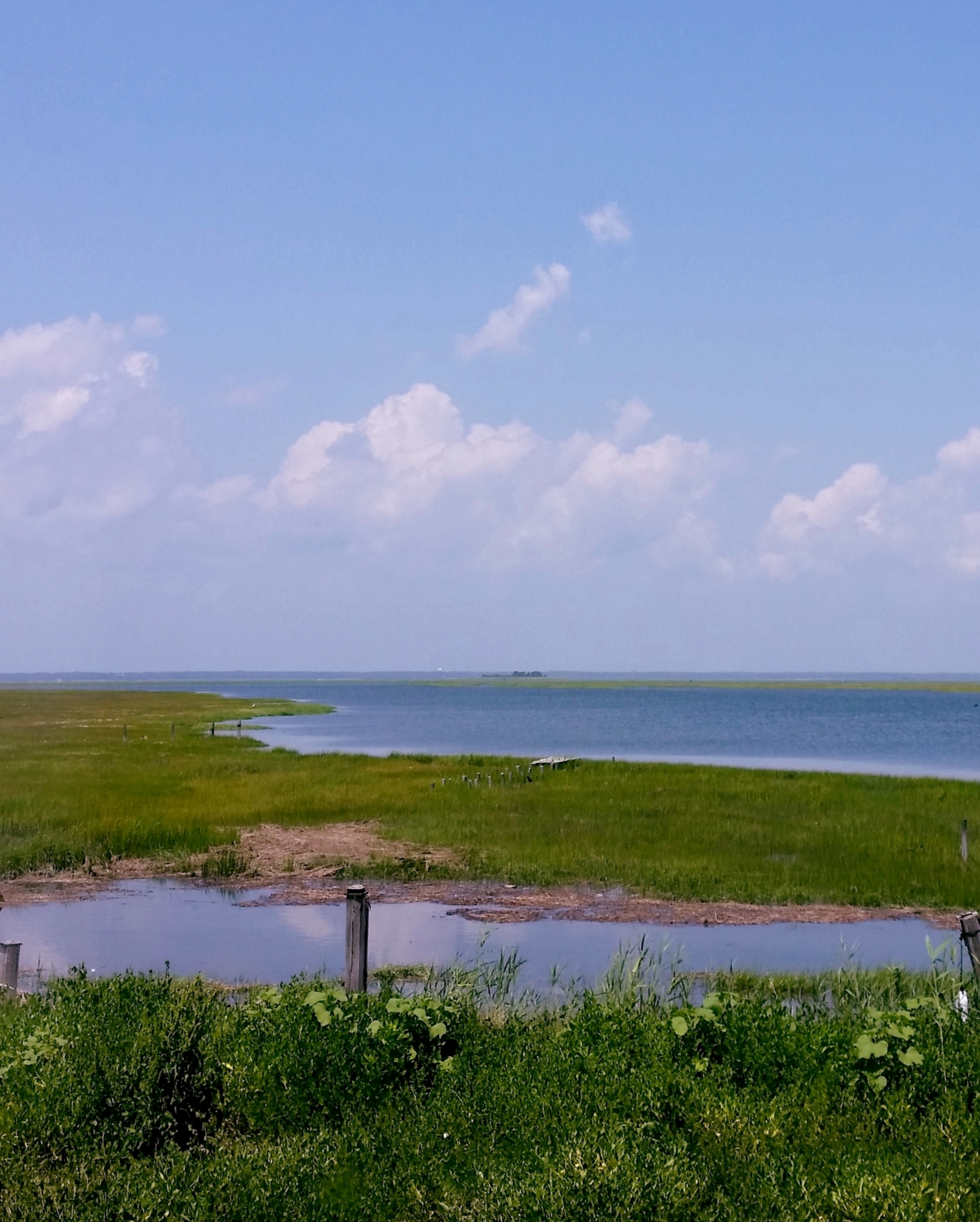 Hot & Humid July Bay Morning – jahART