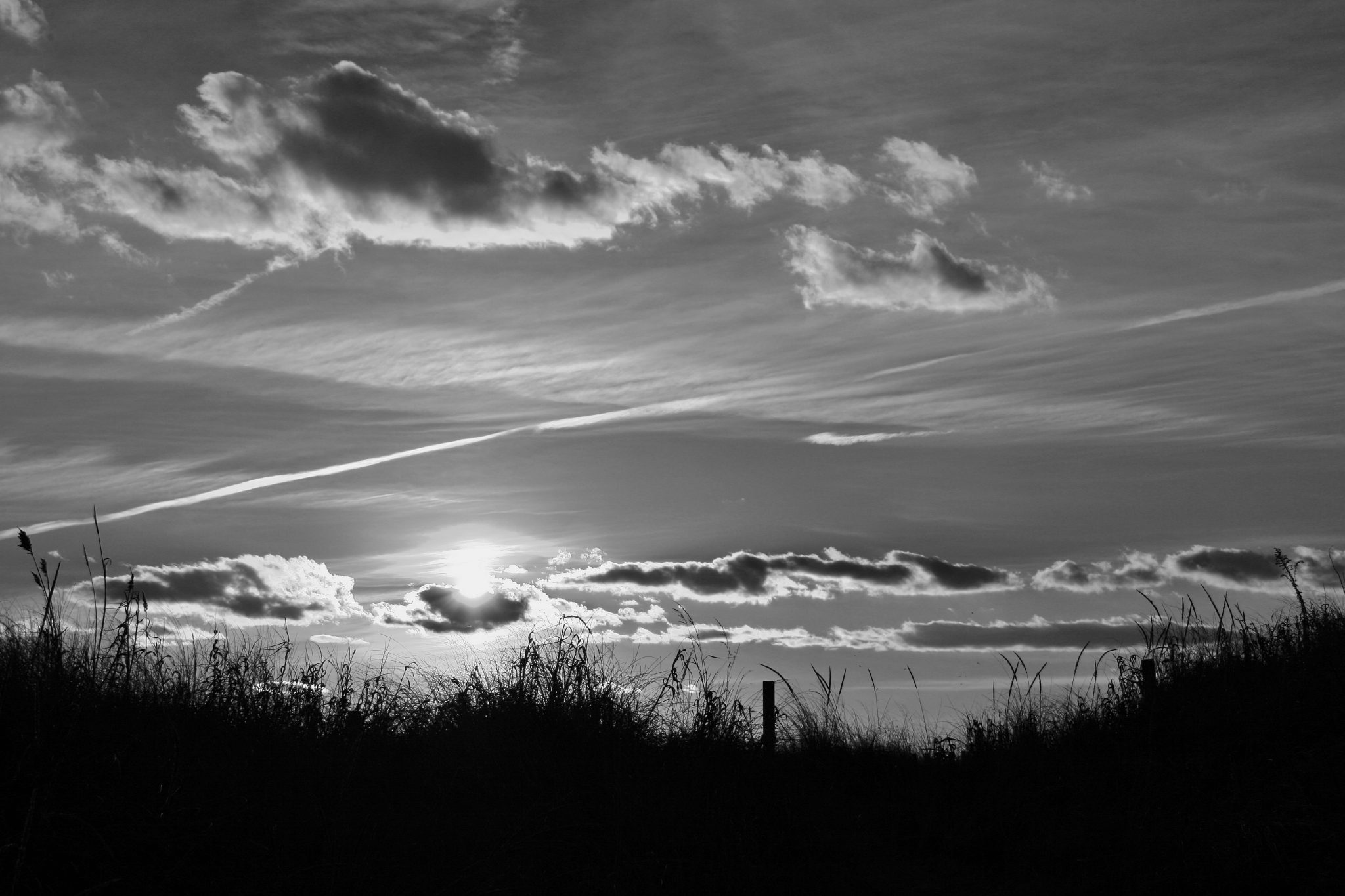 January Shades of Gray – jahART