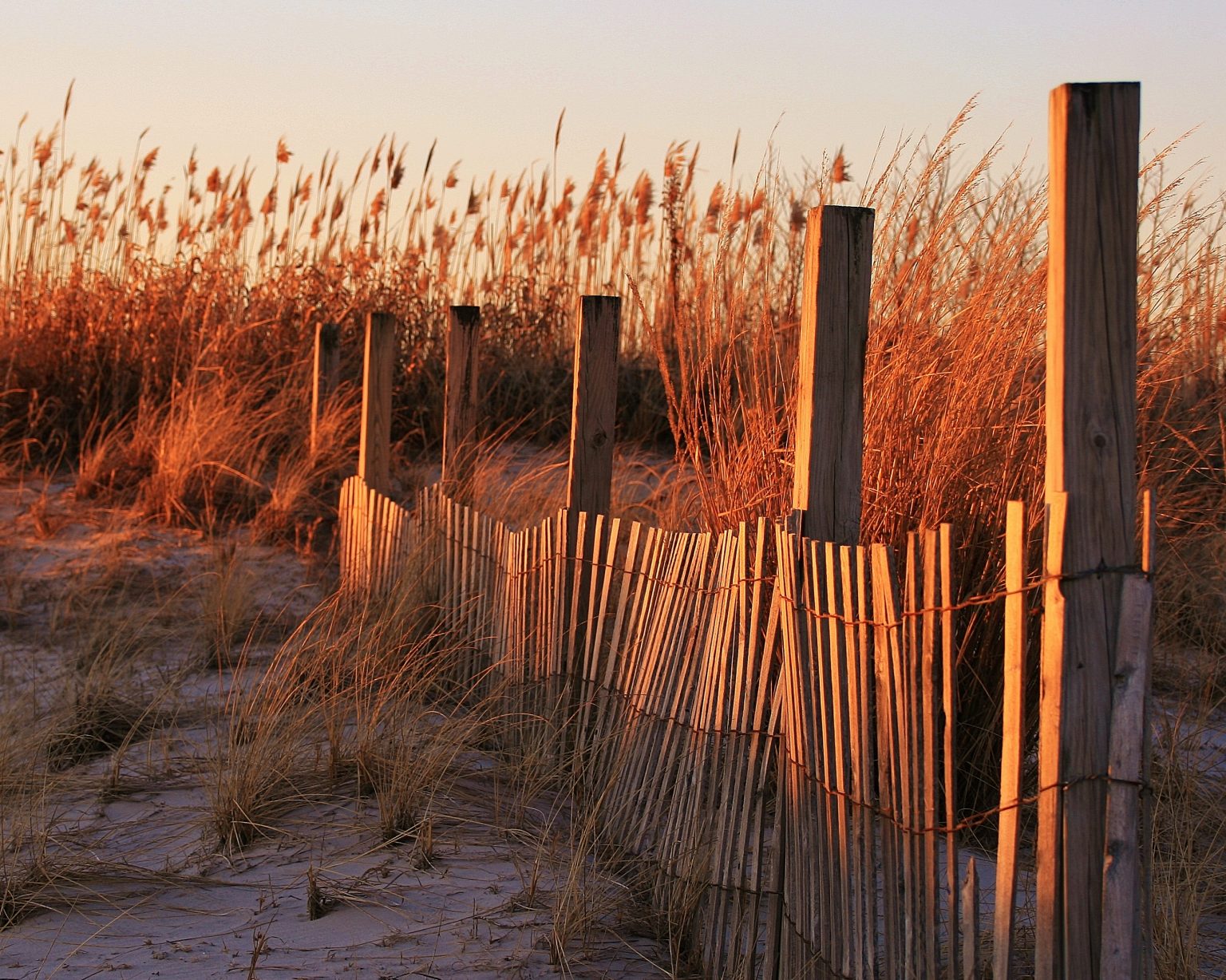 Warm February Sunset – jahART