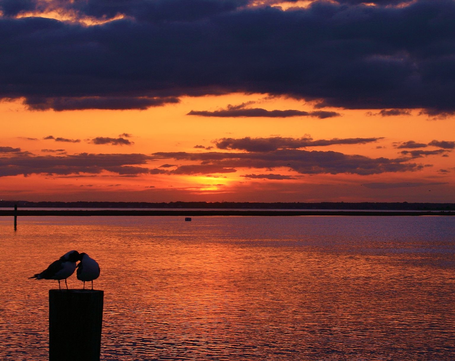 Watching the May Sunset – jahART